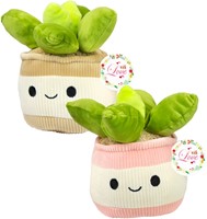 Plush Flower in pot 2 assorted 20cm