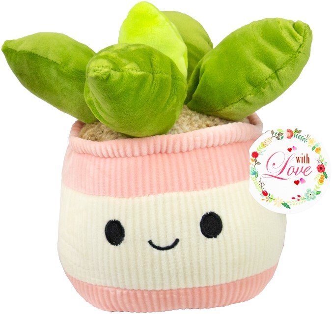 Plush Flower in pot 2 assorted 20cm