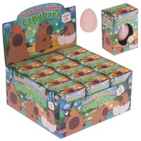 Hatching Growing Capybara in display (12)